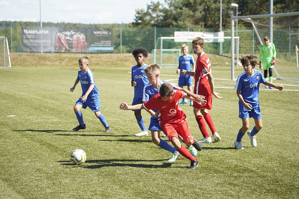 Luft nach oben : KSC - MEINE HEIMAT.
