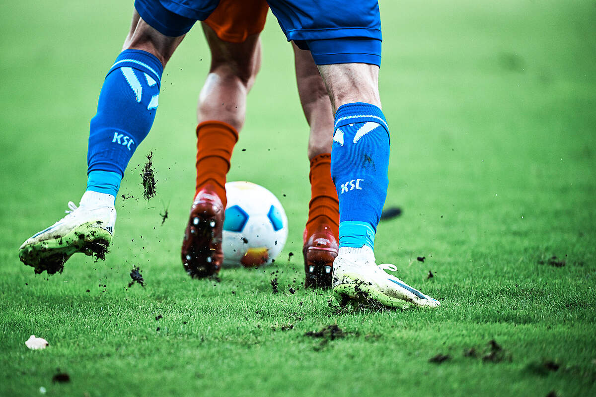 Neuer Rasen für den BBBank Wildpark: KSC - MEINE HEIMAT.